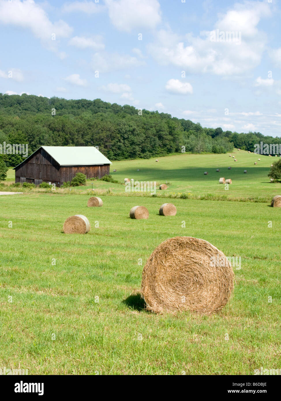 Bayles farm hi-res stock photography and images - Alamy