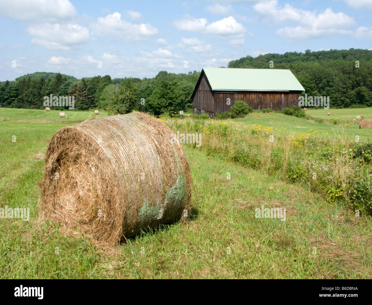 Bayles farm hi-res stock photography and images - Alamy