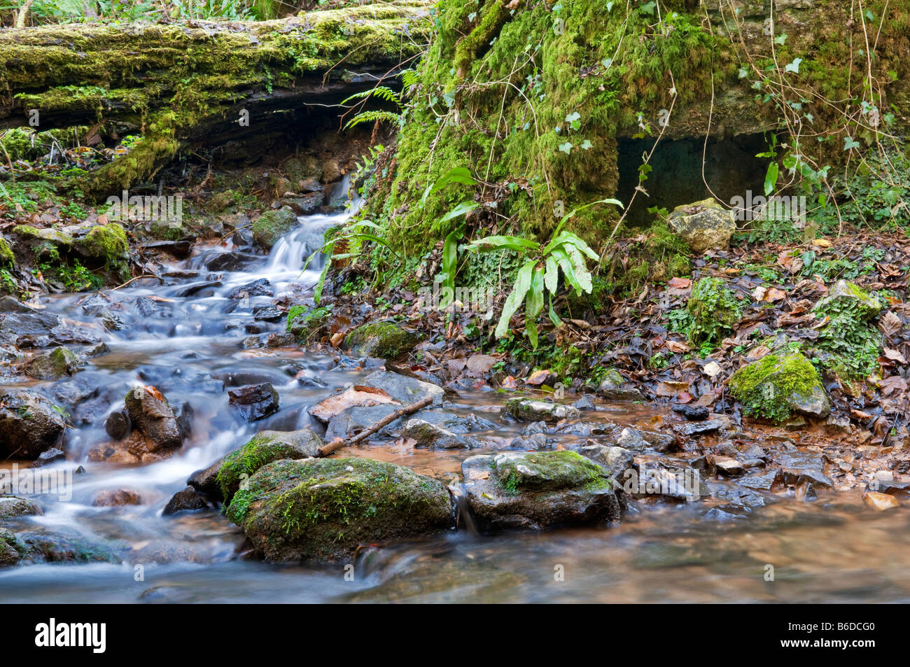 Mells High Resolution Stock Photography and Images - Alamy