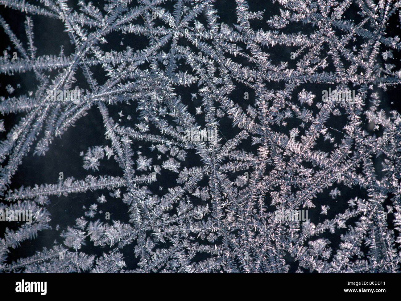 Natural patterns create hi-res stock photography and images - Alamy