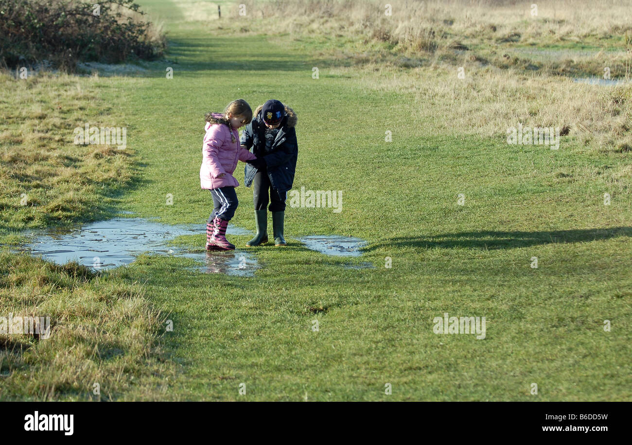 Belhus country park hi-res stock photography and images - Alamy
