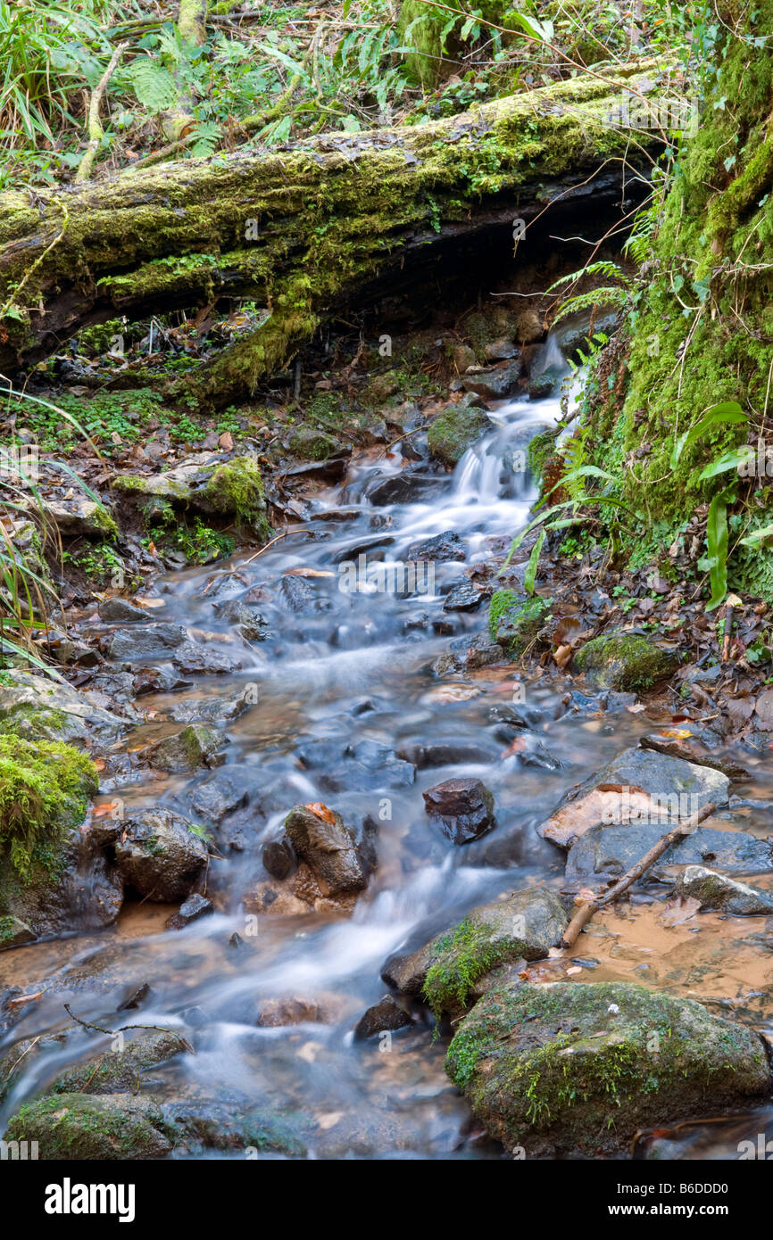 Harridge woods nature reserve hi-res stock photography and images - Alamy