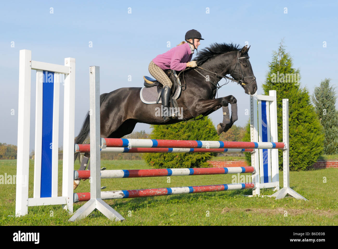 Oxer High Resolution Stock Photography and Images - Alamy