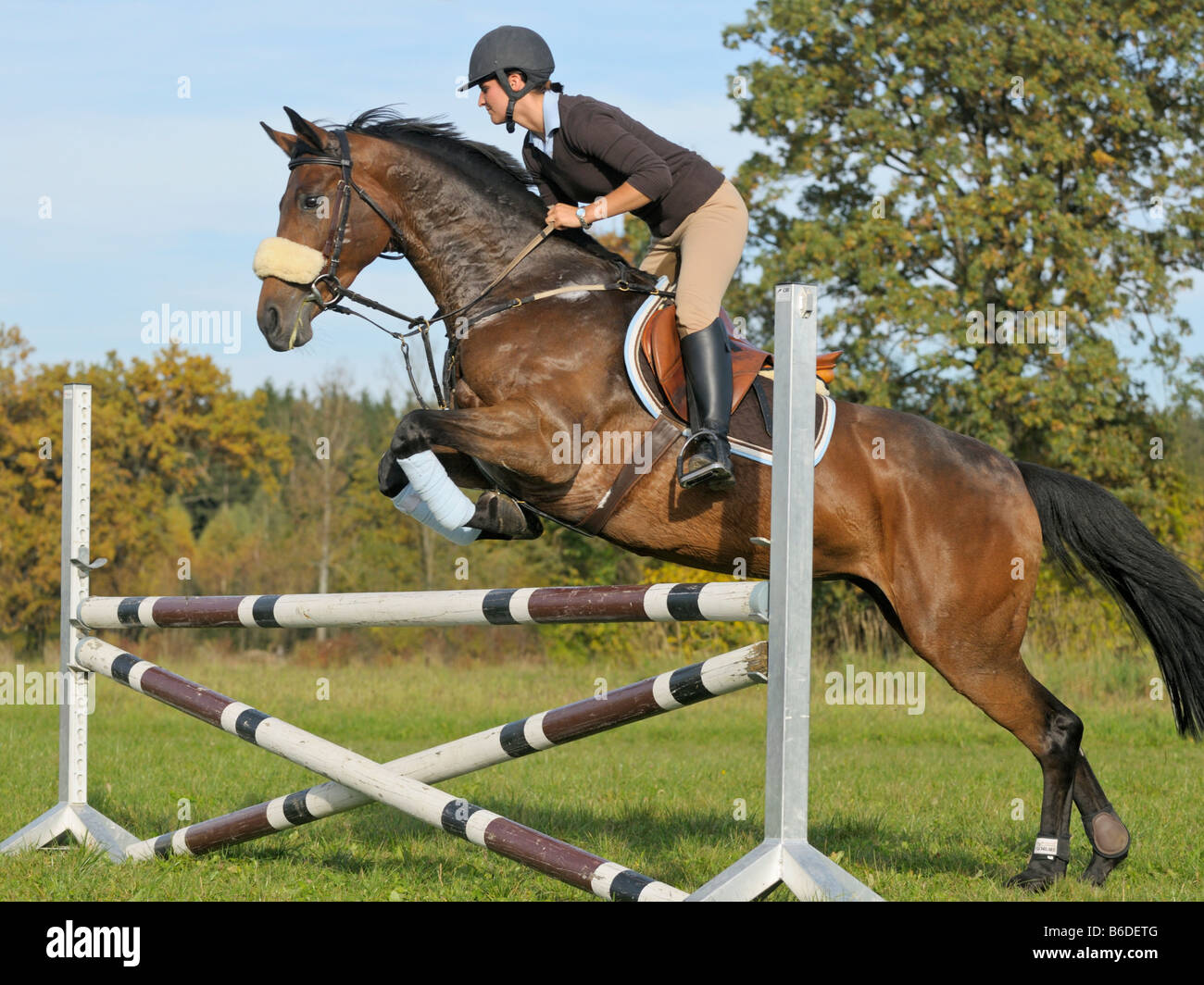 Back view horse jumping hi-res stock photography and images - Alamy