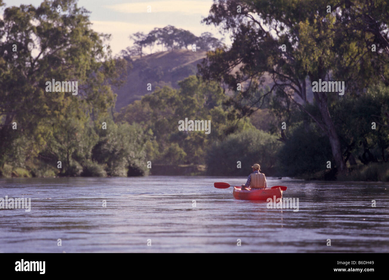 Canoeing on Murray River, Australia Stock Photo - Alamy