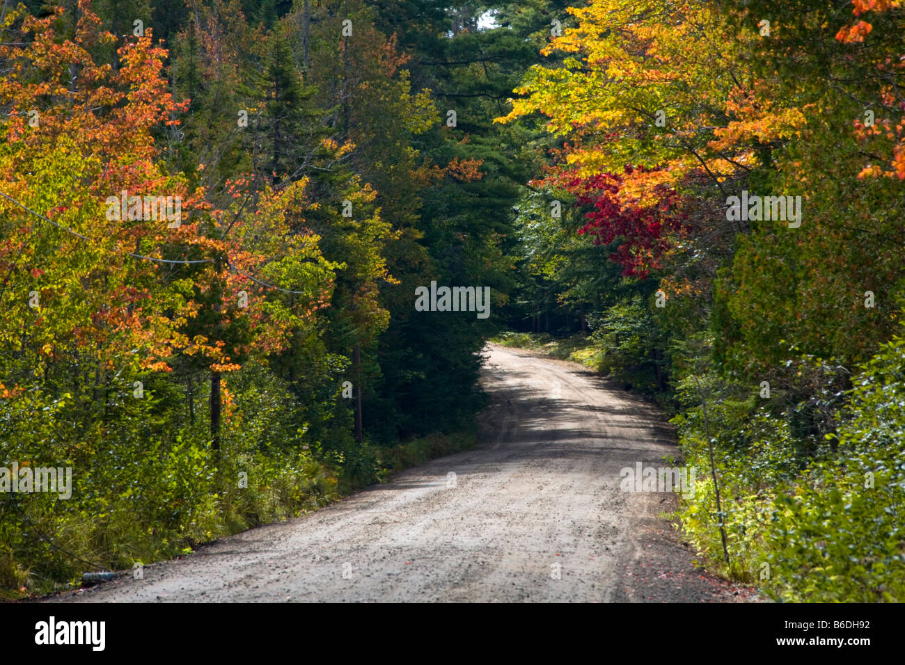 Fall color on a dirt road in the Adirondacks Mountains of New York ...