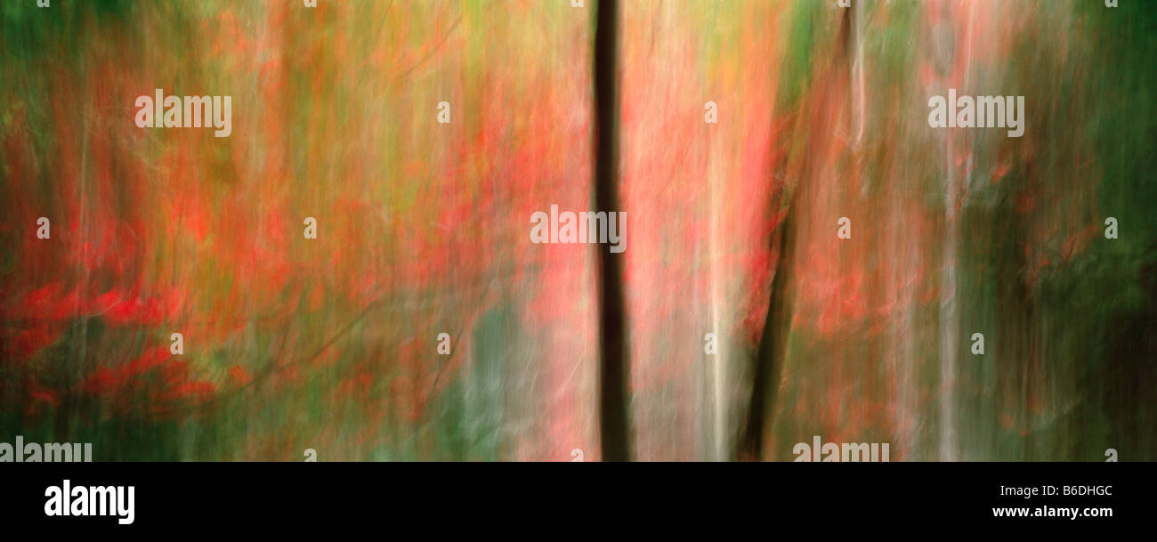 Panoramic abstract background of red fall leaves with motion Stock ...