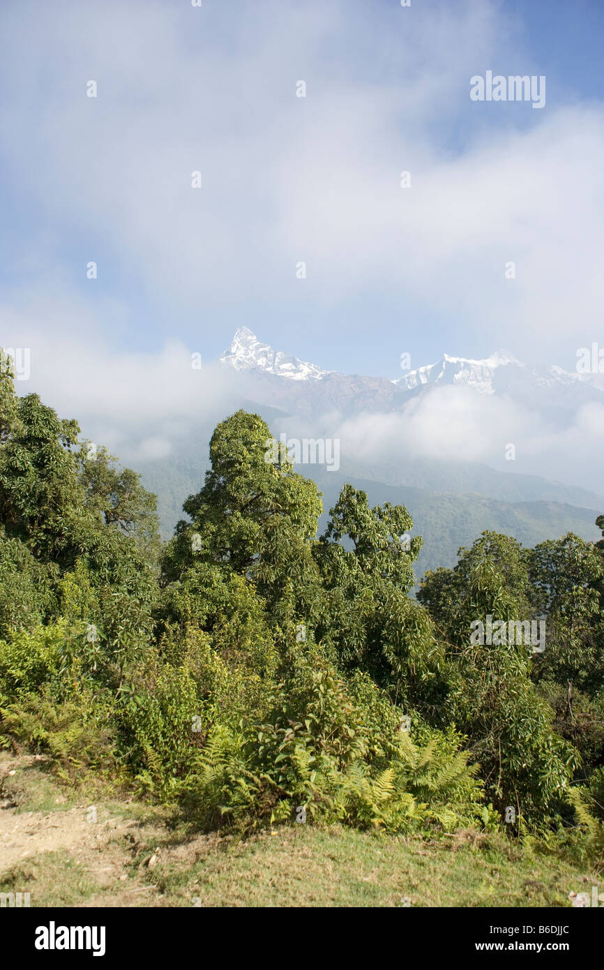 Gurung lodge hi-res stock photography and images - Alamy
