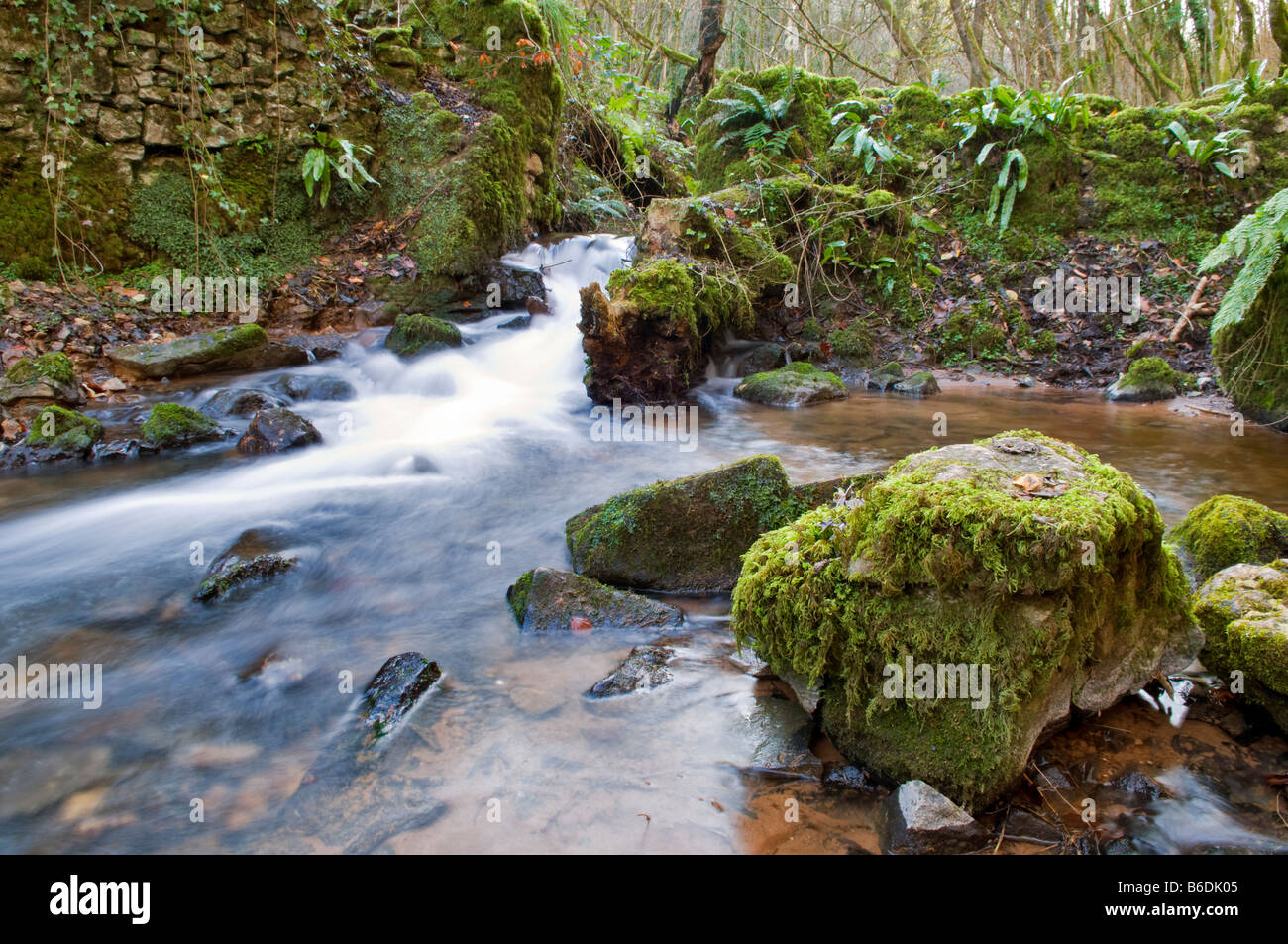 Harridge woods nature reserve hi-res stock photography and images - Alamy