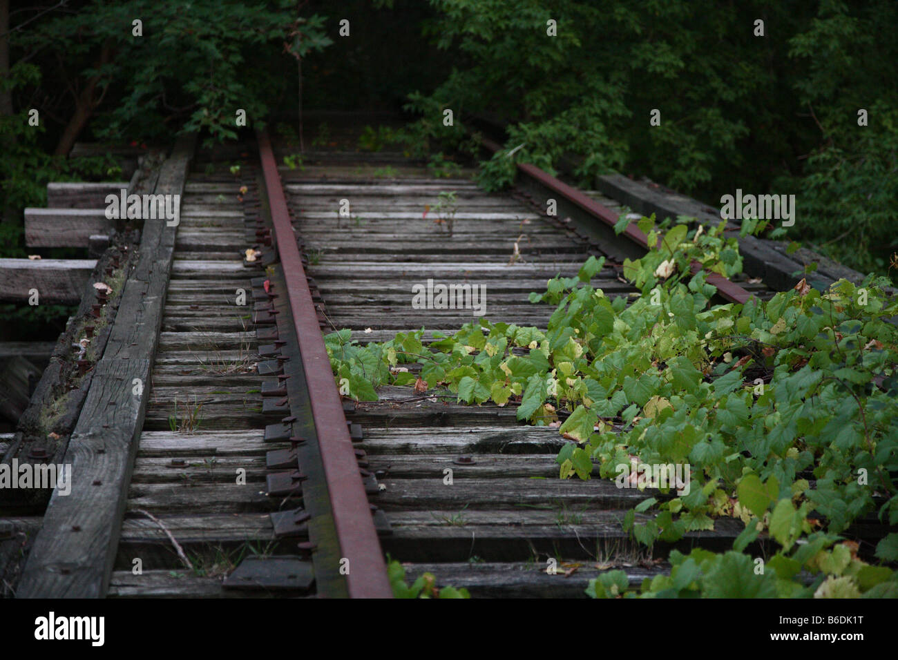Railroad vine hi-res stock photography and images - Alamy