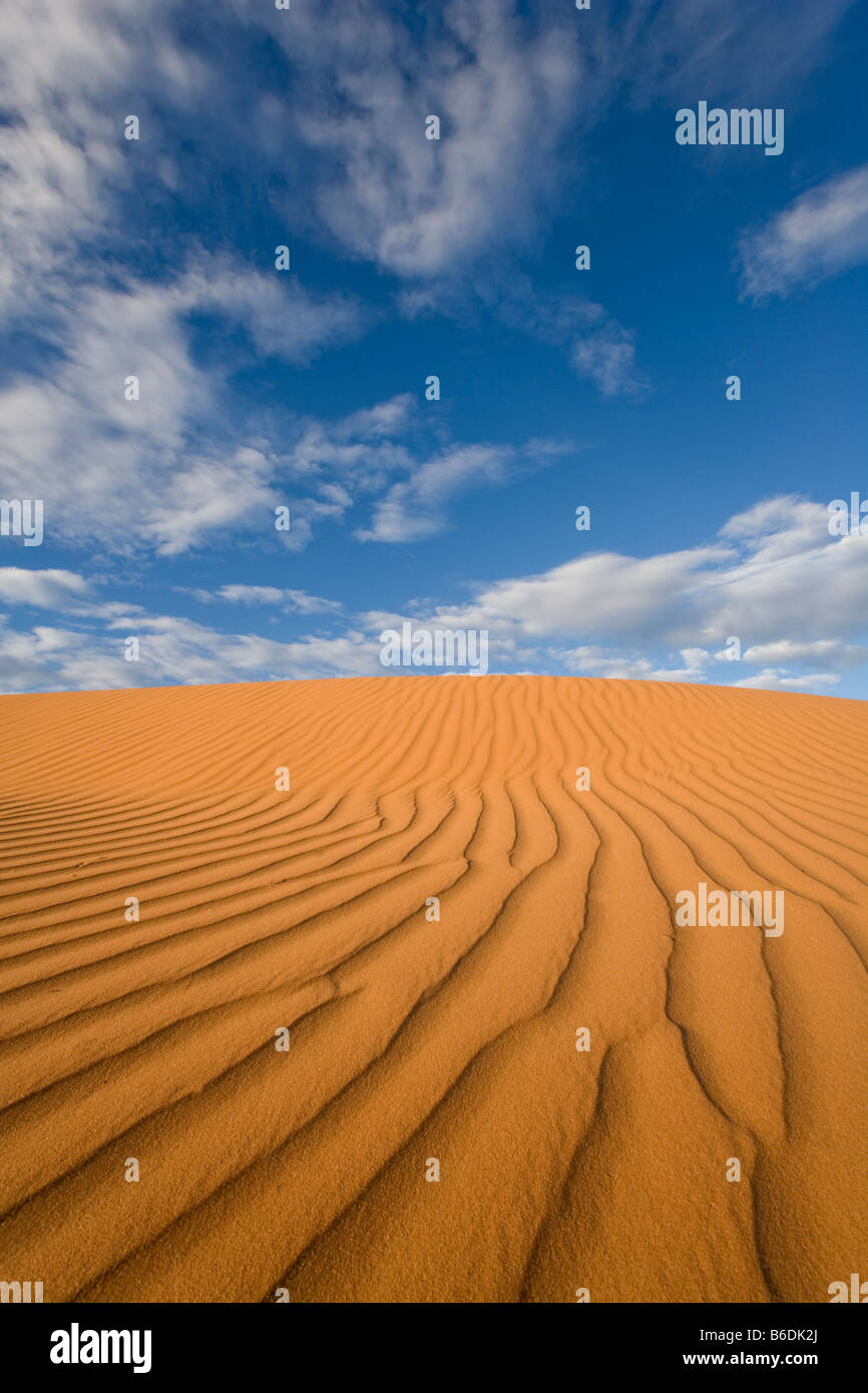 Red sand dunes kalahari desert hi-res stock photography and images - Alamy