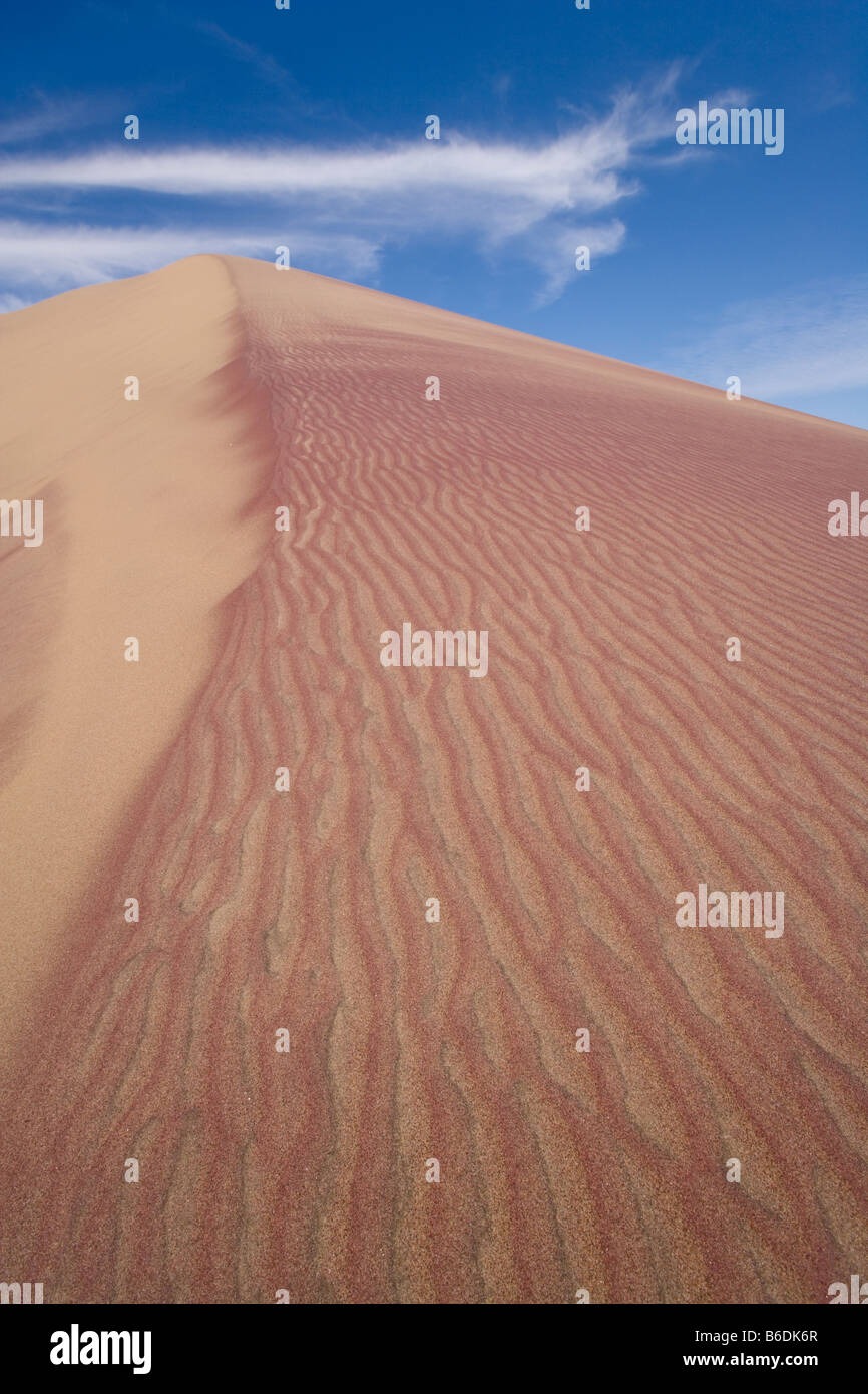 Africa Namibia Skeleton Coast Wilderness Wind blown sand forms patterns ...
