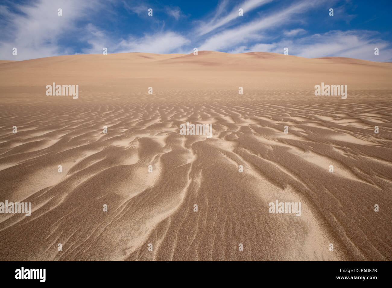 Africa Namibia Skeleton Coast Wilderness Wind blown sand forms patterns ...