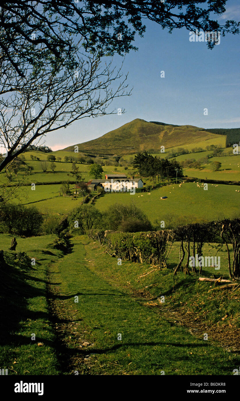 Welsh farmhouse on hillside, Machynlleth, Powys, Wales, UK Stock Photo ...
