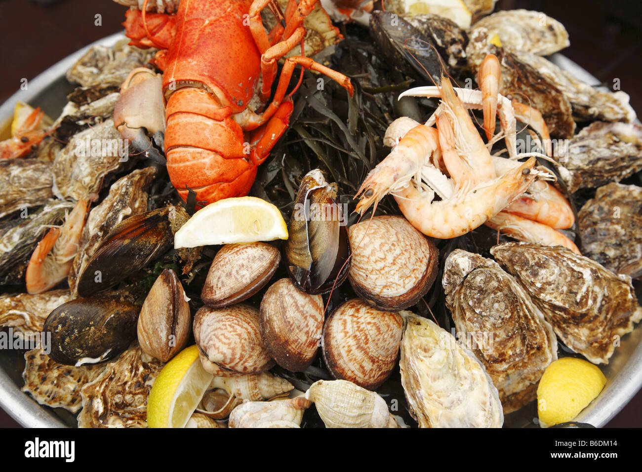 Shellfish assortment hi-res stock photography and images - Alamy