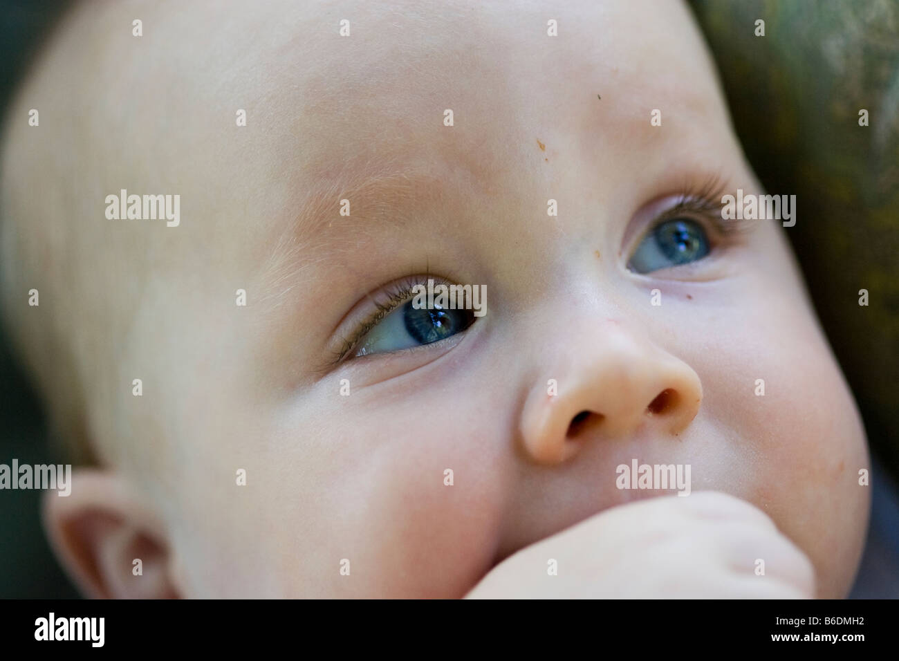 A Caucasian baby boy looking up Stock Photo - Alamy