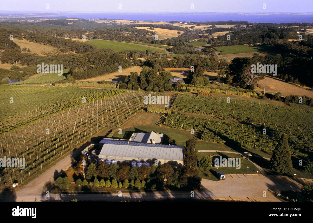 Australia viniculture viticulture hi-res stock photography and images ...