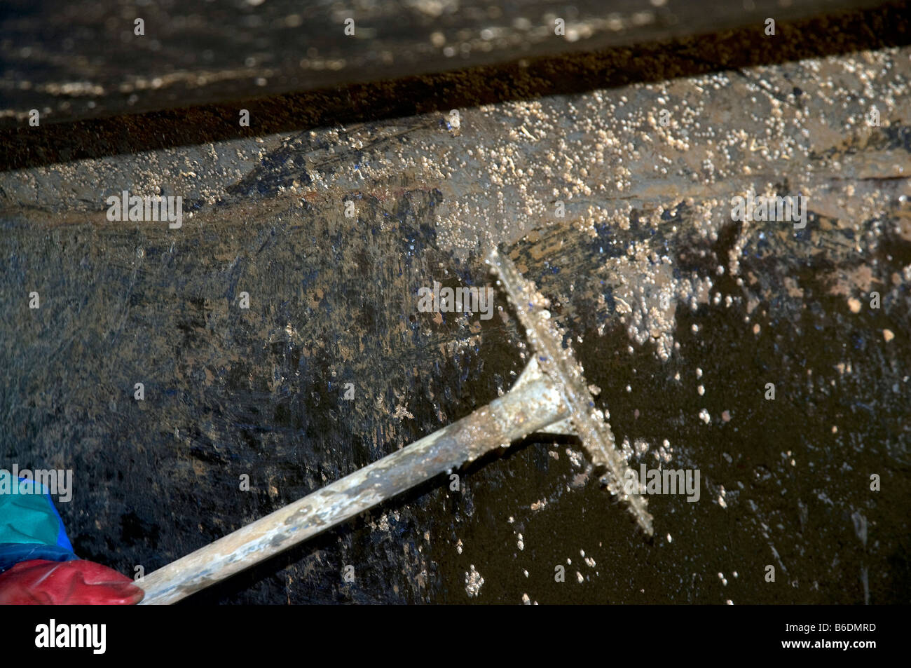 Boat hull barnacles hi-res stock photography and images - Alamy