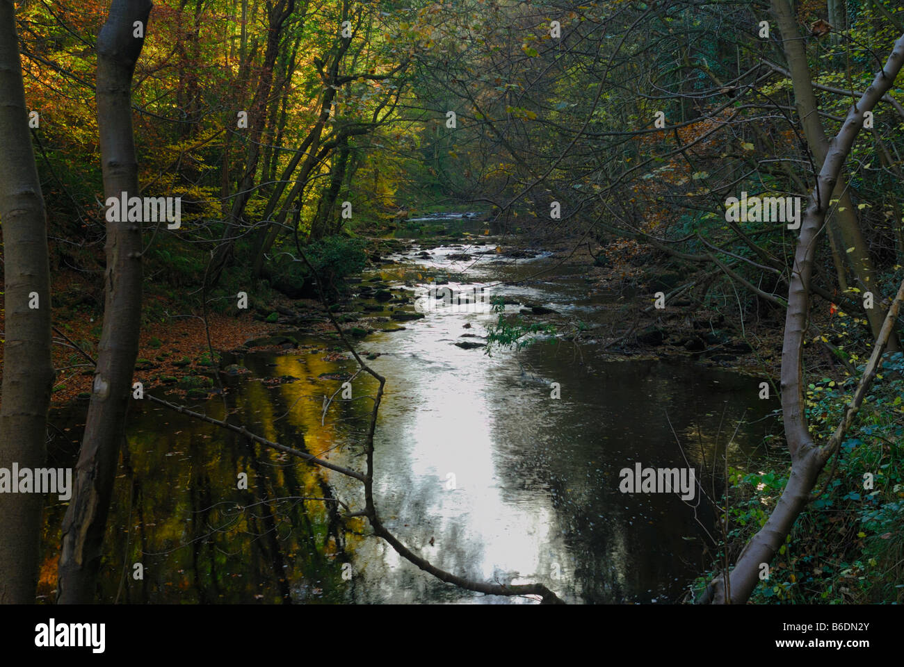 The River Wansbeck upstream from Bothal Stock Photo - Alamy