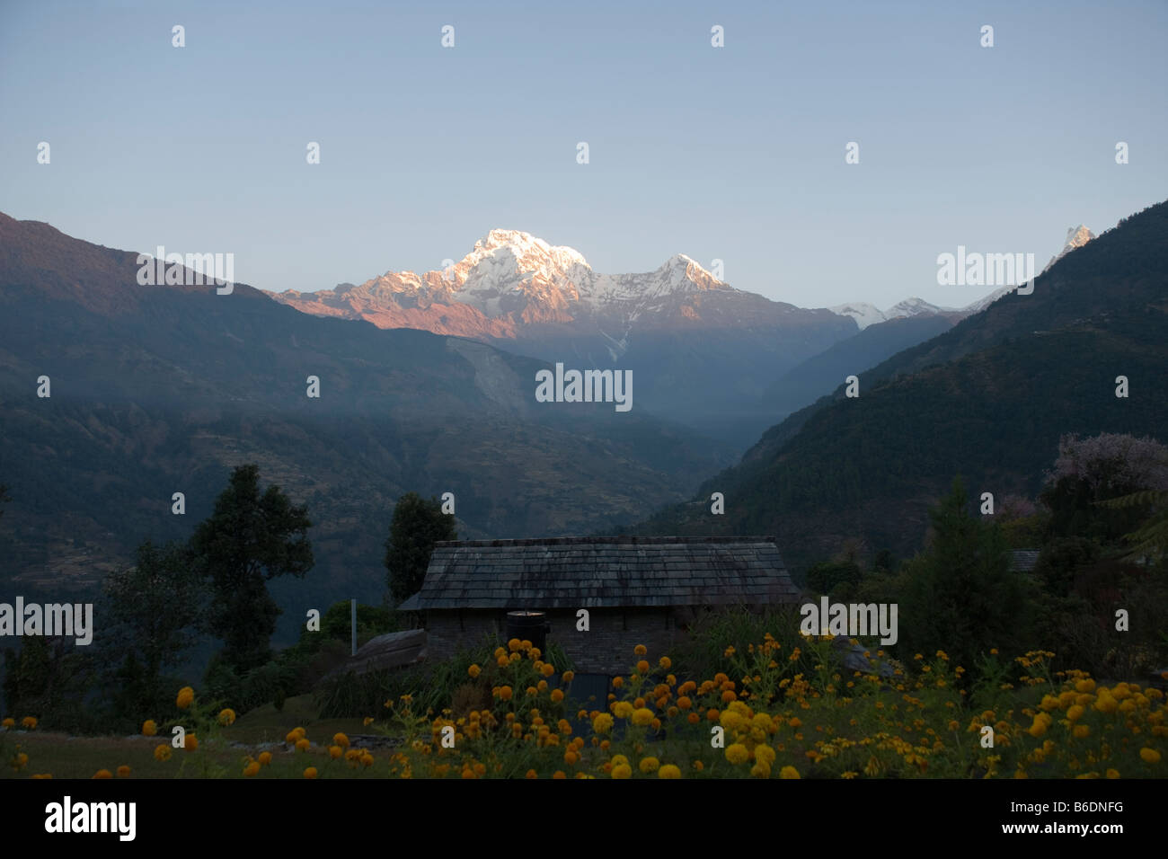 Dawn over Annapurna South Annapurna One and Hiunchuli Mountains from ...