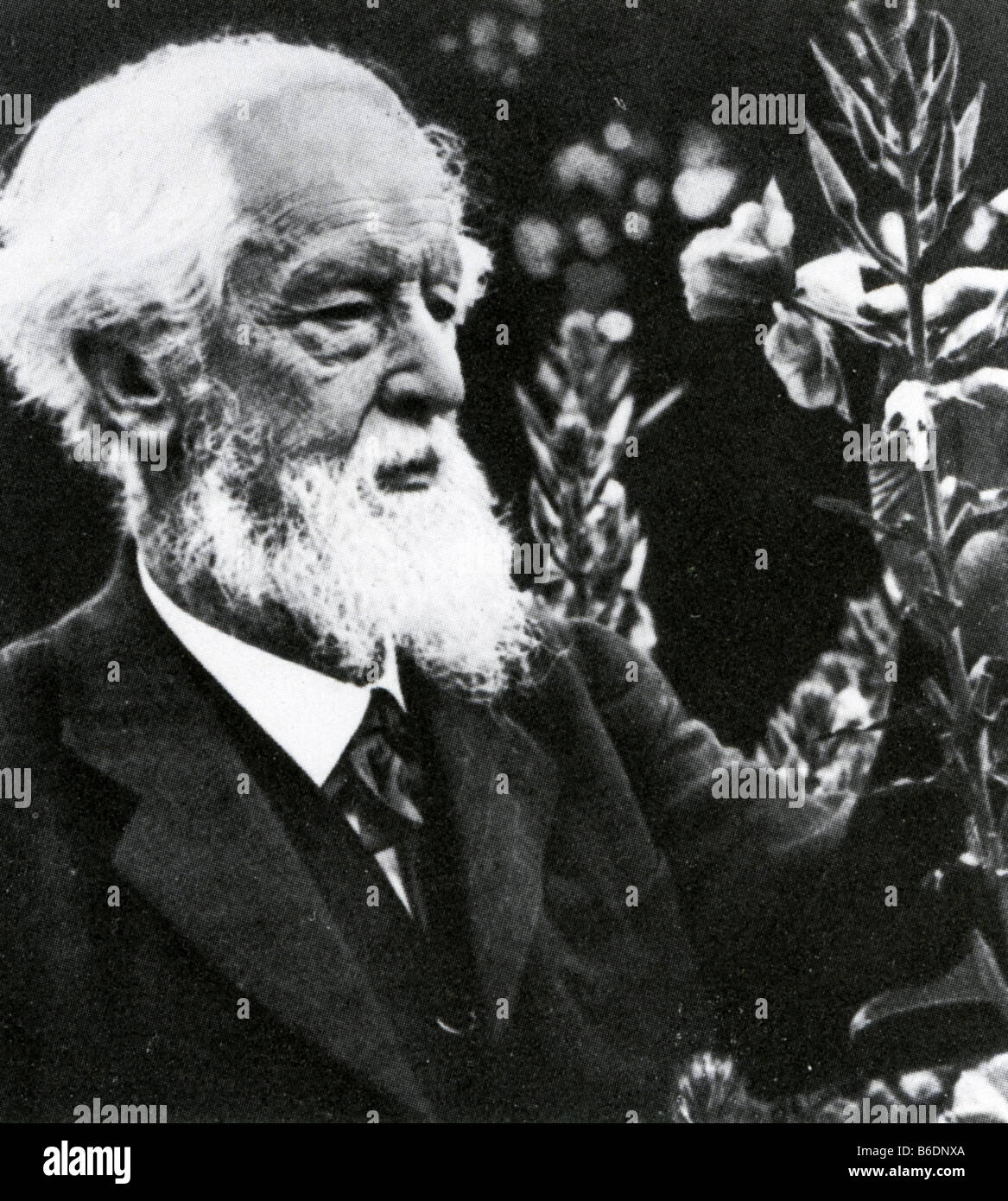 Gregor mendel hi-res stock photography and images - Alamy