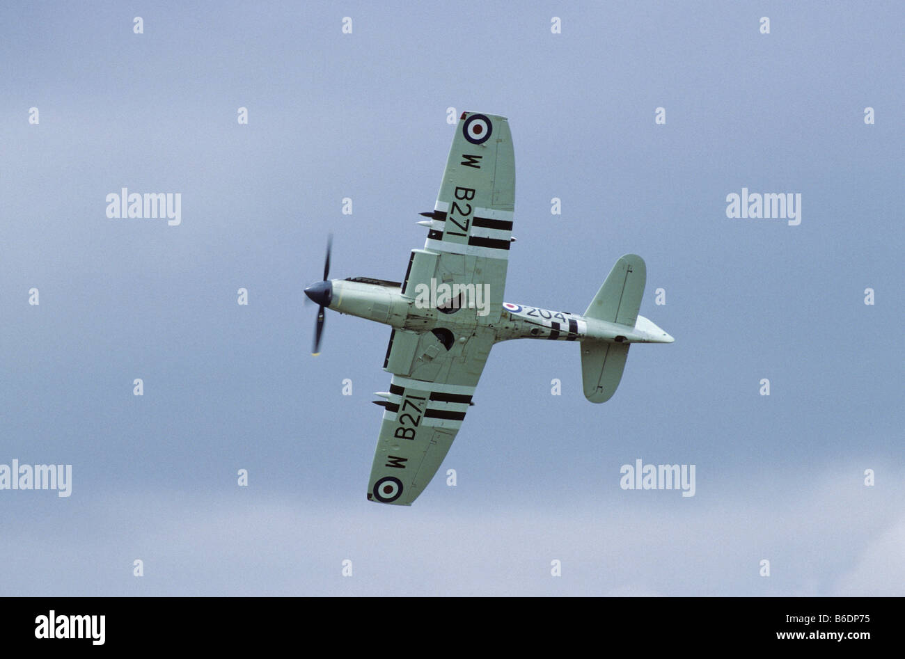 Fairey firefly hi-res stock photography and images - Alamy