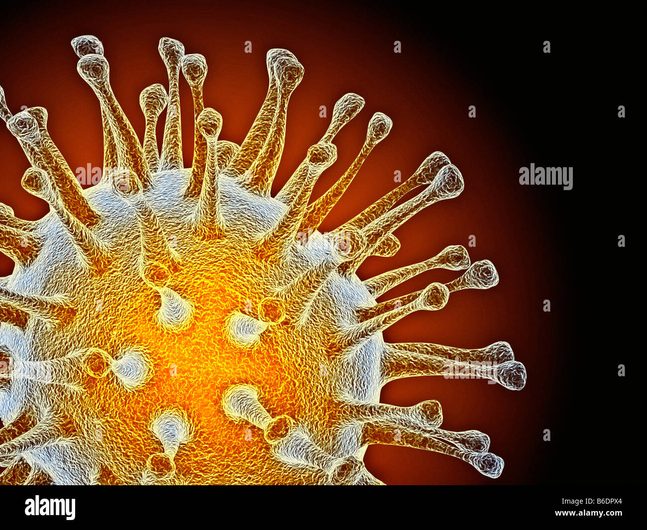 Avian influenza (flu) virus, computer artwork Stock Photo - Alamy