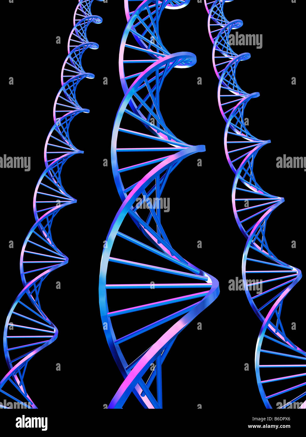 DNA (deoxyribonucleic acid) molecule, computer artwork Stock Photo - Alamy