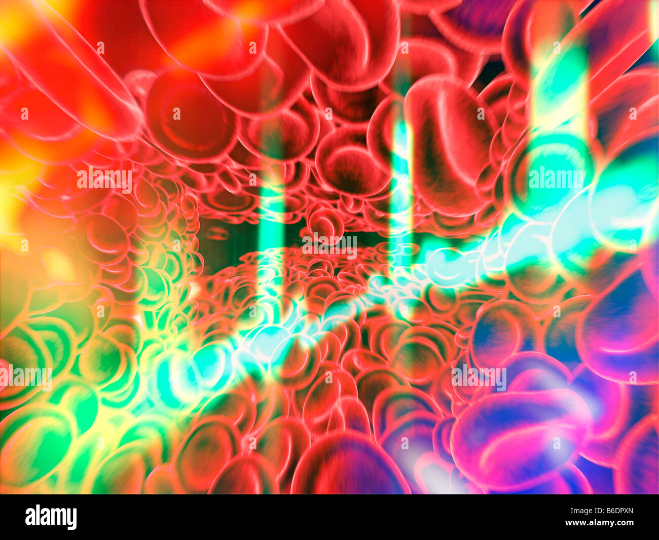Red blood cells and ECG (electrocardiogram) trace,computer artwork ...