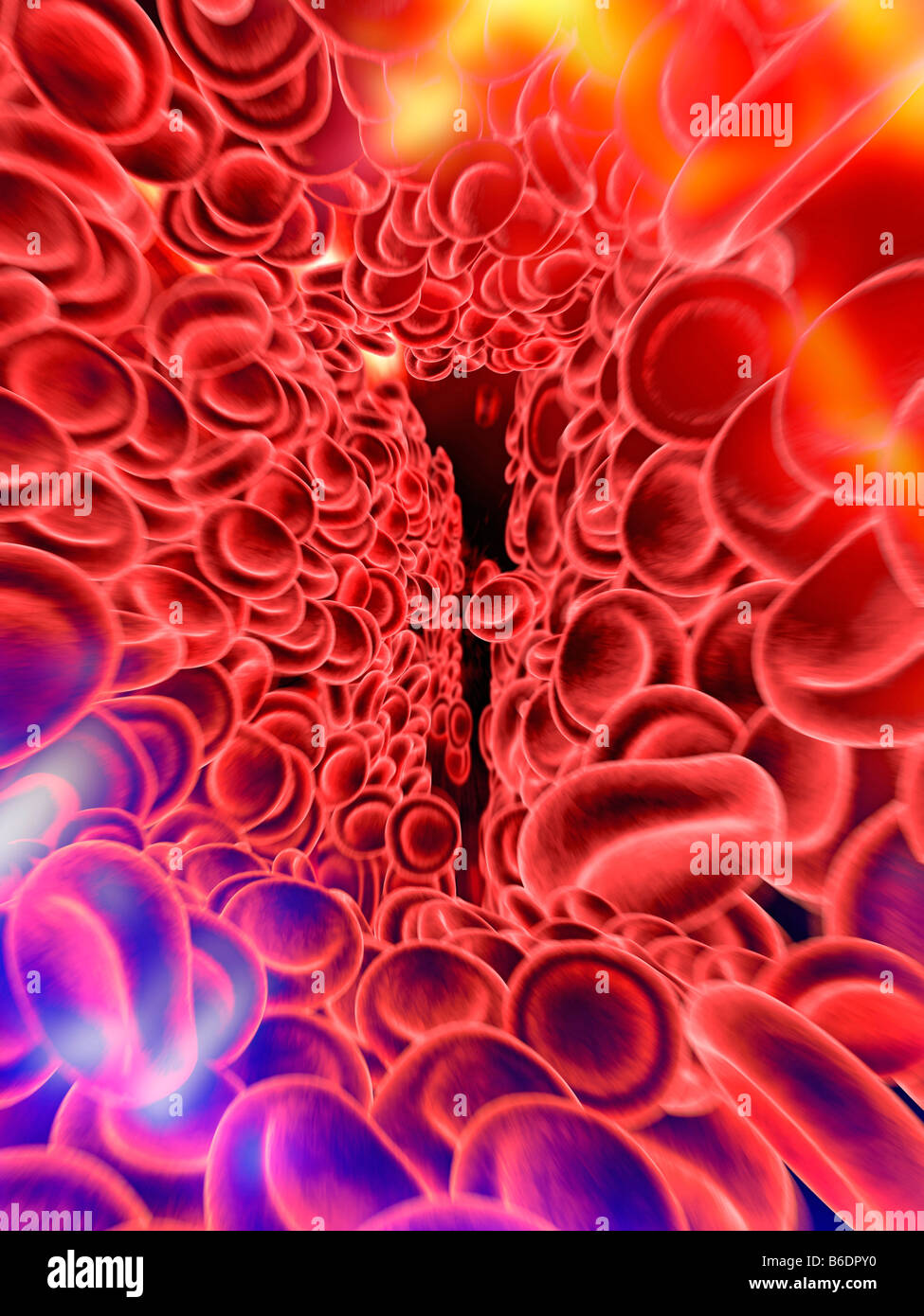 Biconcave Appearance