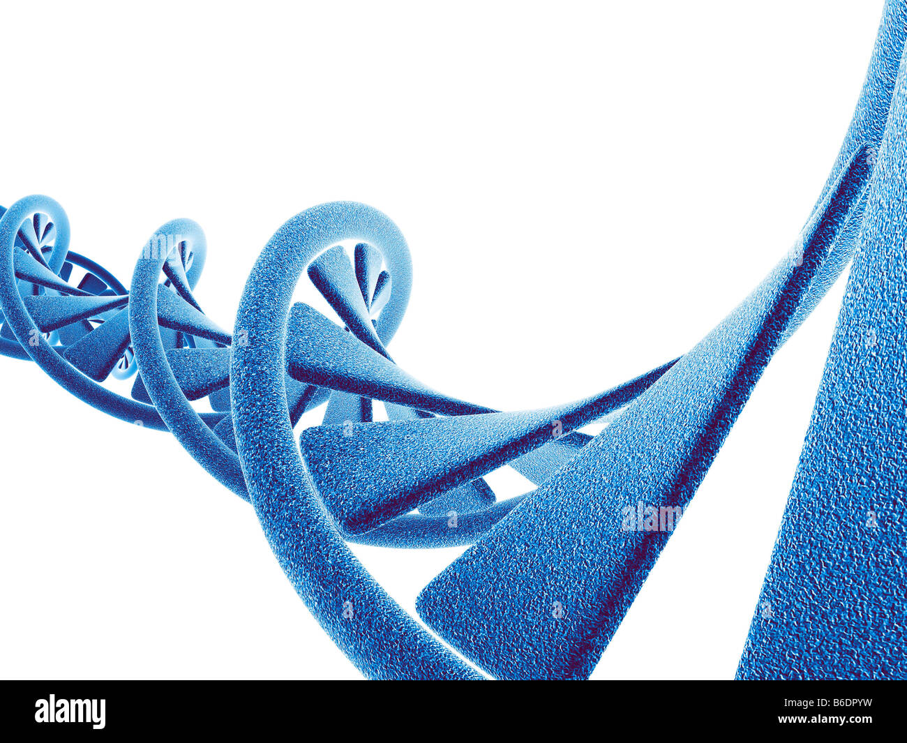 DNA (deoxyribonucleic acid) molecule, computer artwork Stock Photo - Alamy