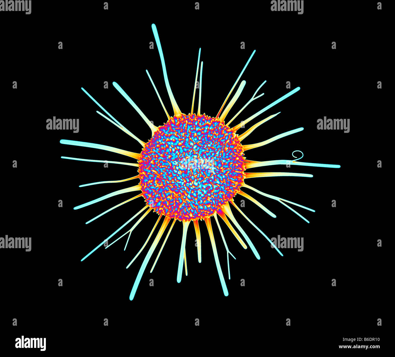 Computer generated projections hi-res stock photography and images - Alamy