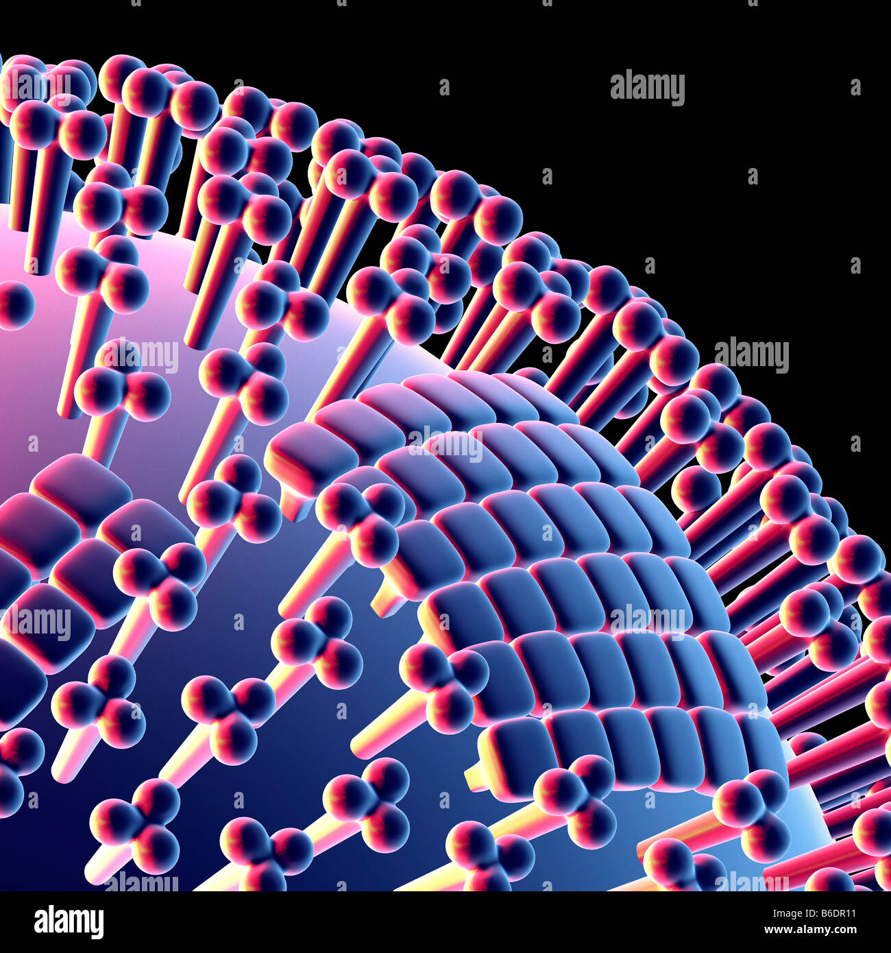 Influenza (flu) virus, computer artwork Stock Photo - Alamy