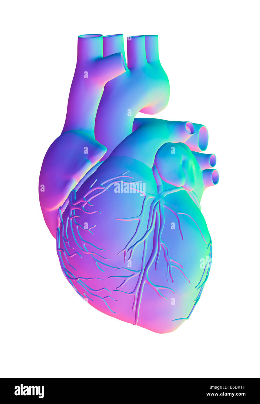 Heart, computer artwork Stock Photo - Alamy