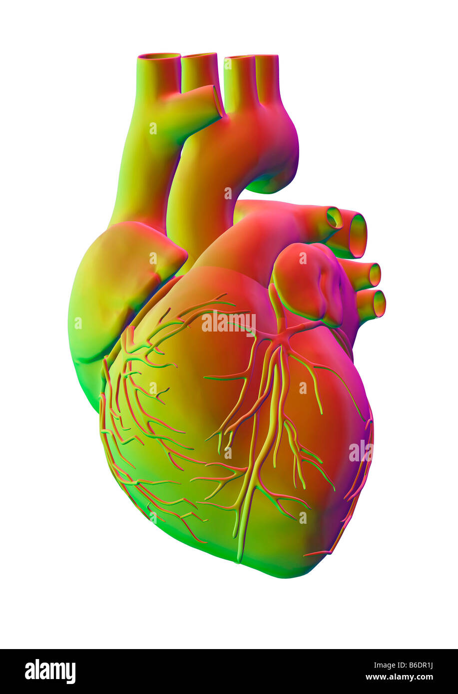 Heart, computer artwork Stock Photo - Alamy