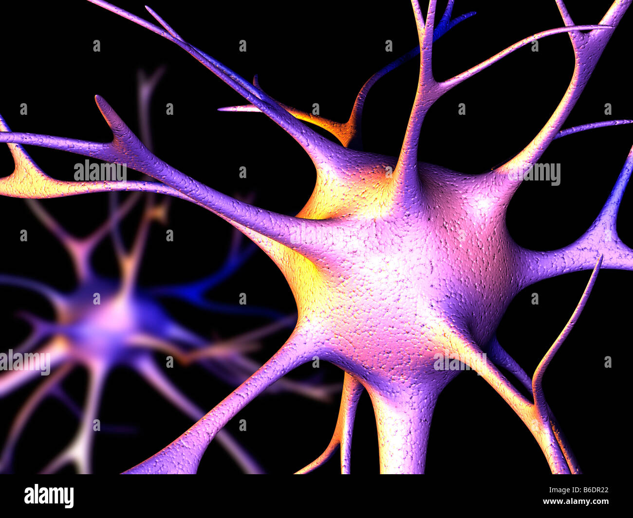 Nerve cells, orneurons (brown) and glial (support) cells (green Stock ...