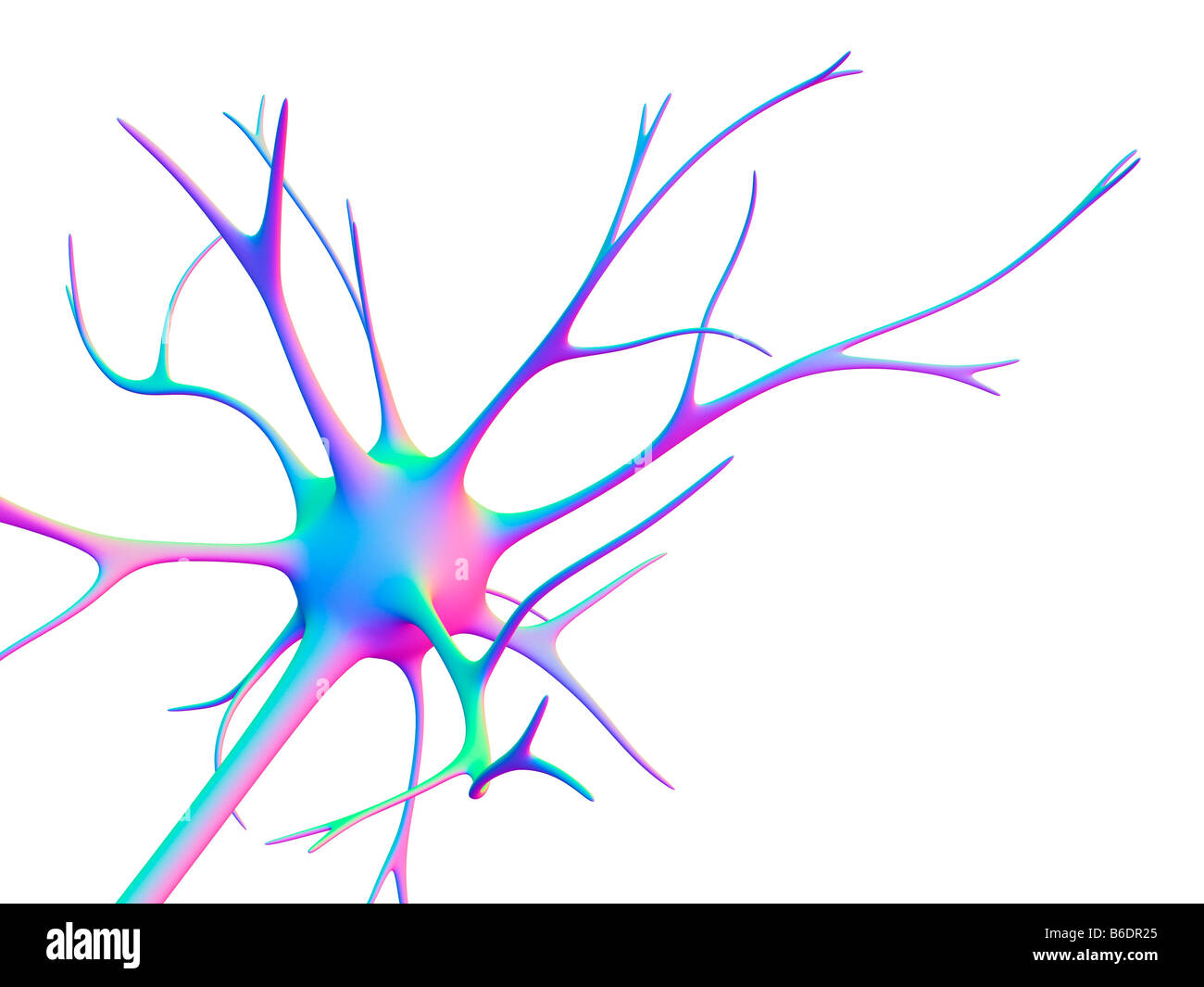 Nerve cells, orneurons (brown) and glial (support) cells (green Stock ...