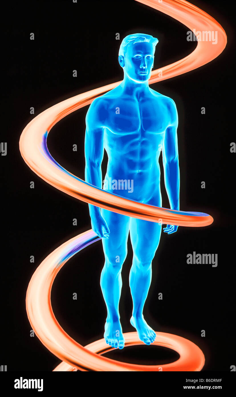 DNA. Computer artwork of a single strand of DNA wrapped around a human ...