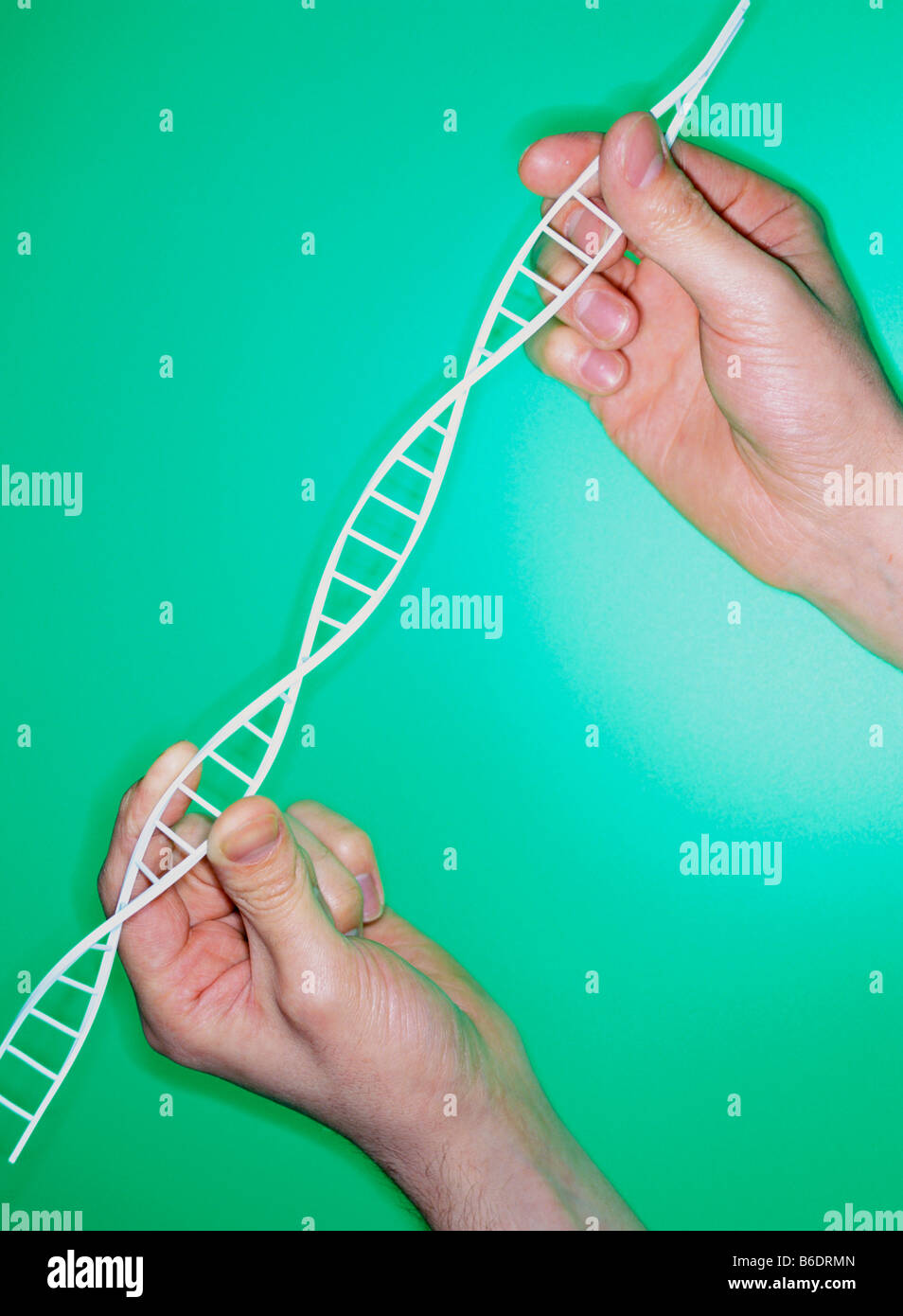 DNA helix. Hands holding a model of part of the double helix of DNA ...