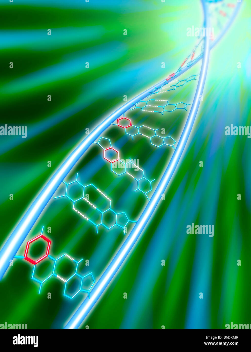 xDNA molecule. Computer artwork of a molecule of expanded ...