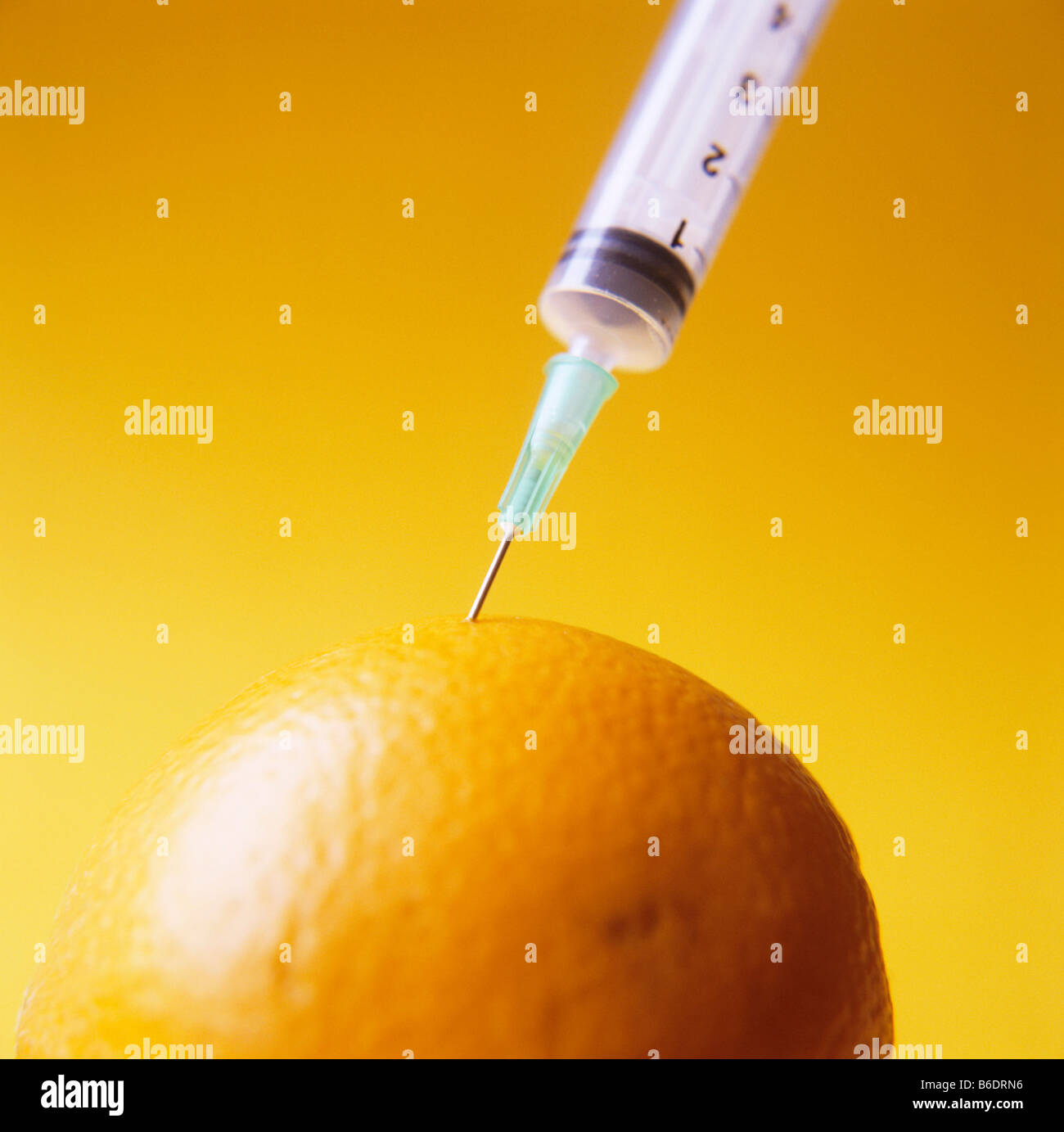 Genetically modified orange. Conceptual image of an orange being ...