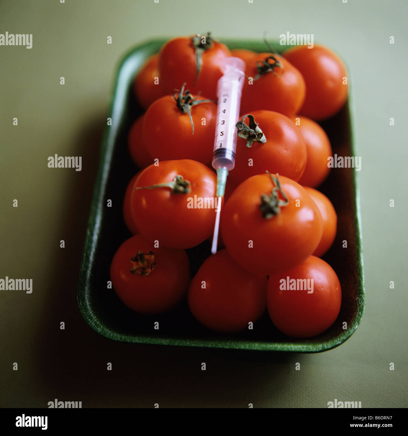 Genetically modified tomatoes. Conceptual image of a syringe on a ...