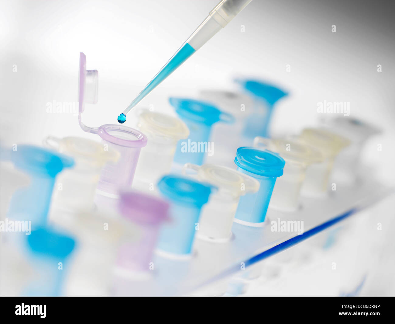Preparing sample vials. Pipette being used to add a liquid to a vial ...