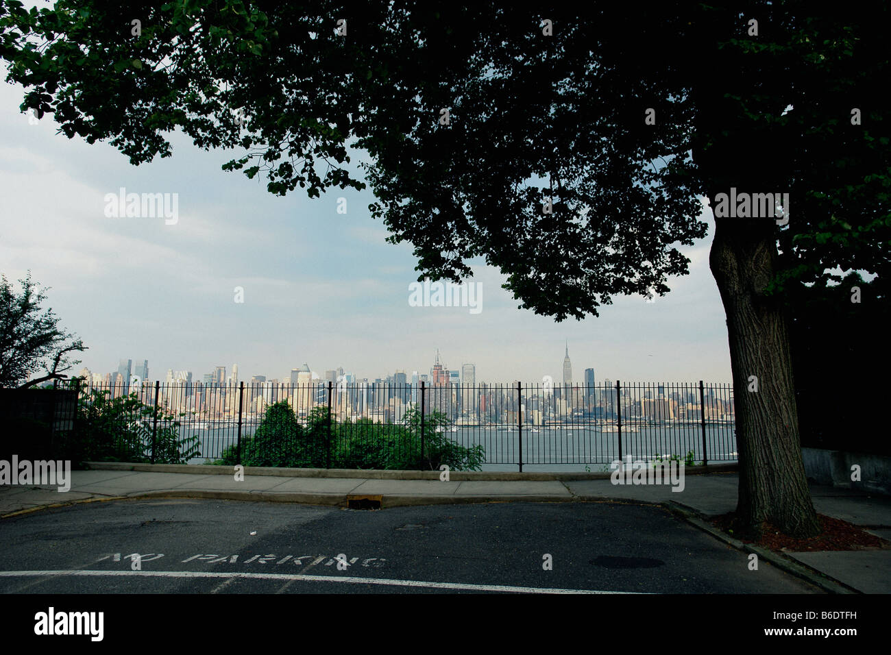 View of the New York City Skyline Framed by a Fence and Tree New York ...