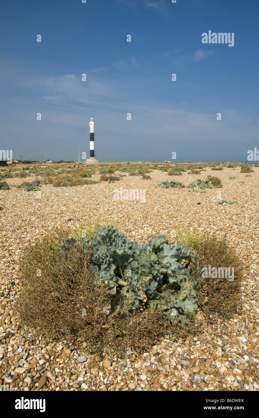 New dungeness lighthouse sky architecture hi-res stock photography and ...