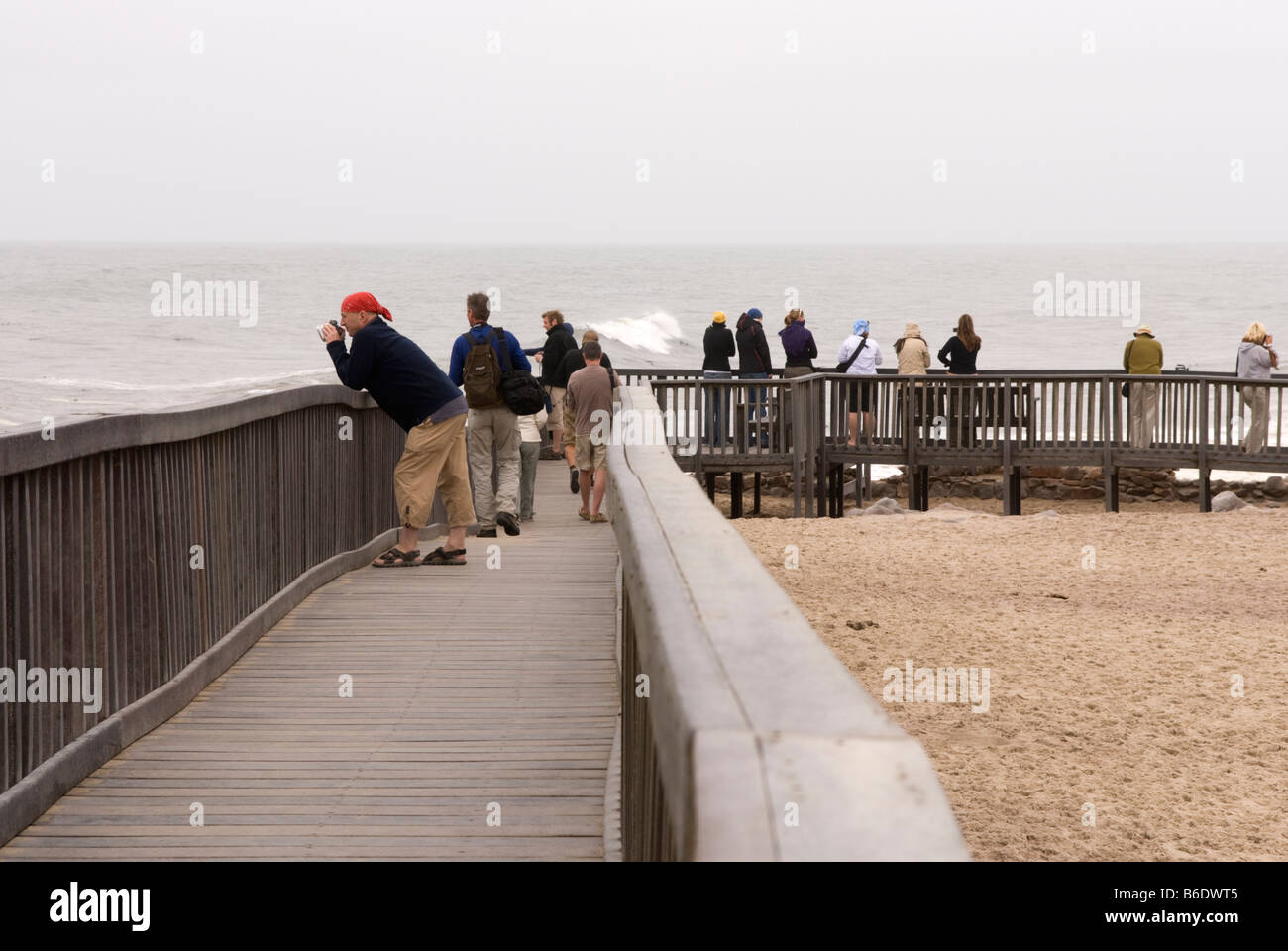 Visitor walkway at the Cape Cross Seal Colony, Skeleton Coast, Namibia ...