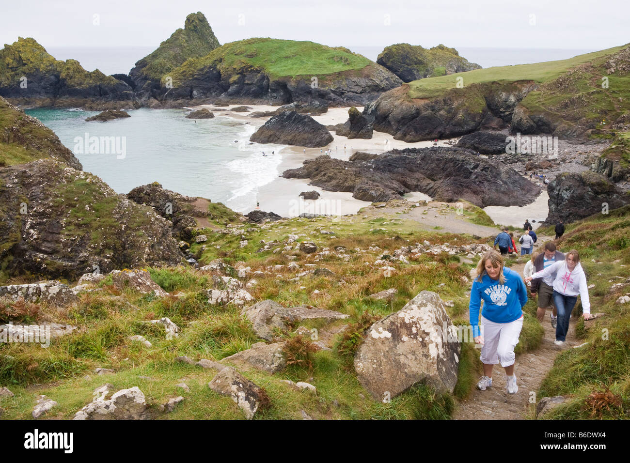 Lizard in Cornwall, England Stock Photo - Alamy