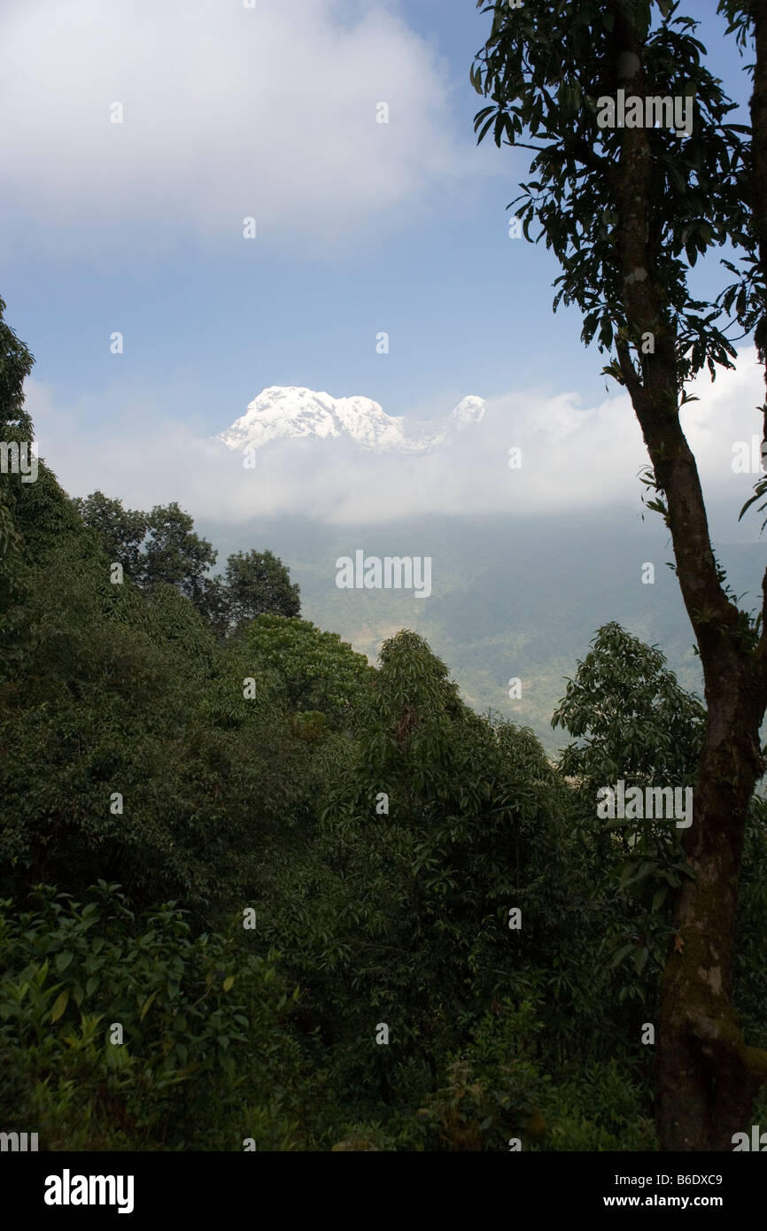 Pothana hi-res stock photography and images - Alamy