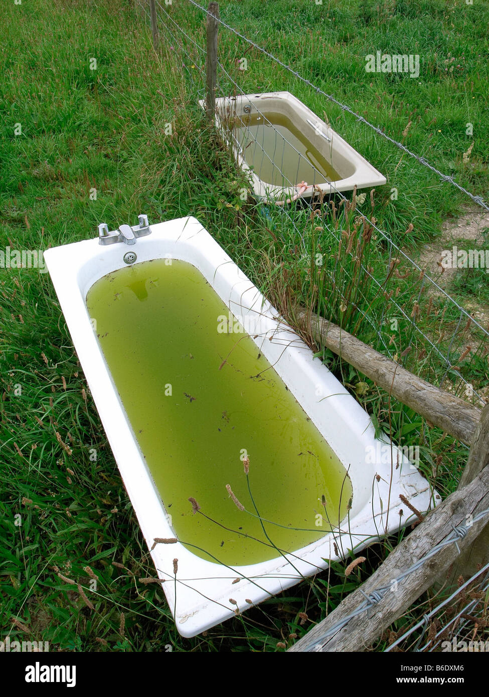 Trough bath hi-res stock photography and images - Alamy