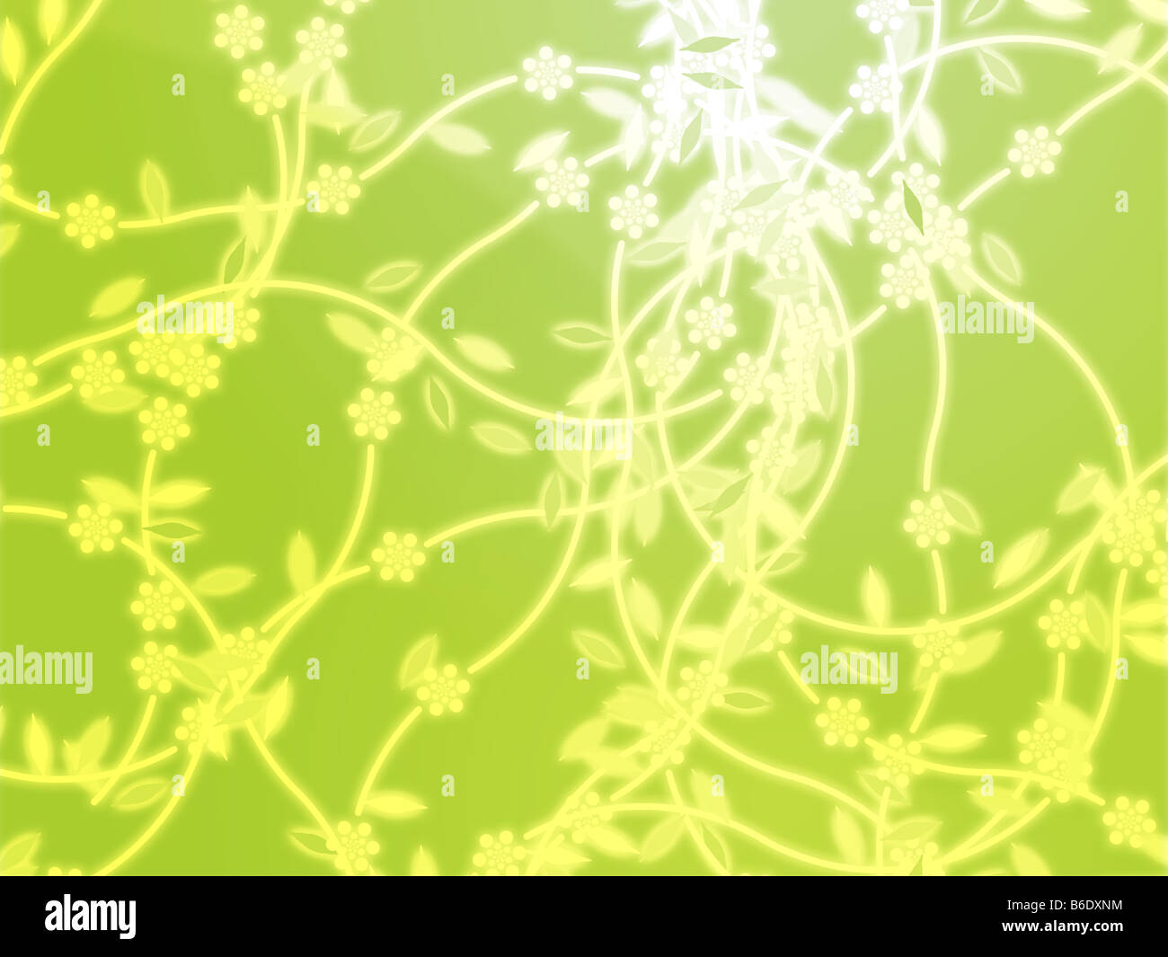 Floral nature themed design illustration with leaves and blossoms Stock ...